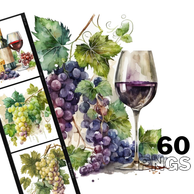 Grape & Wine Watercolor Clipart Set, 60 PNG Images, Digital Download ...