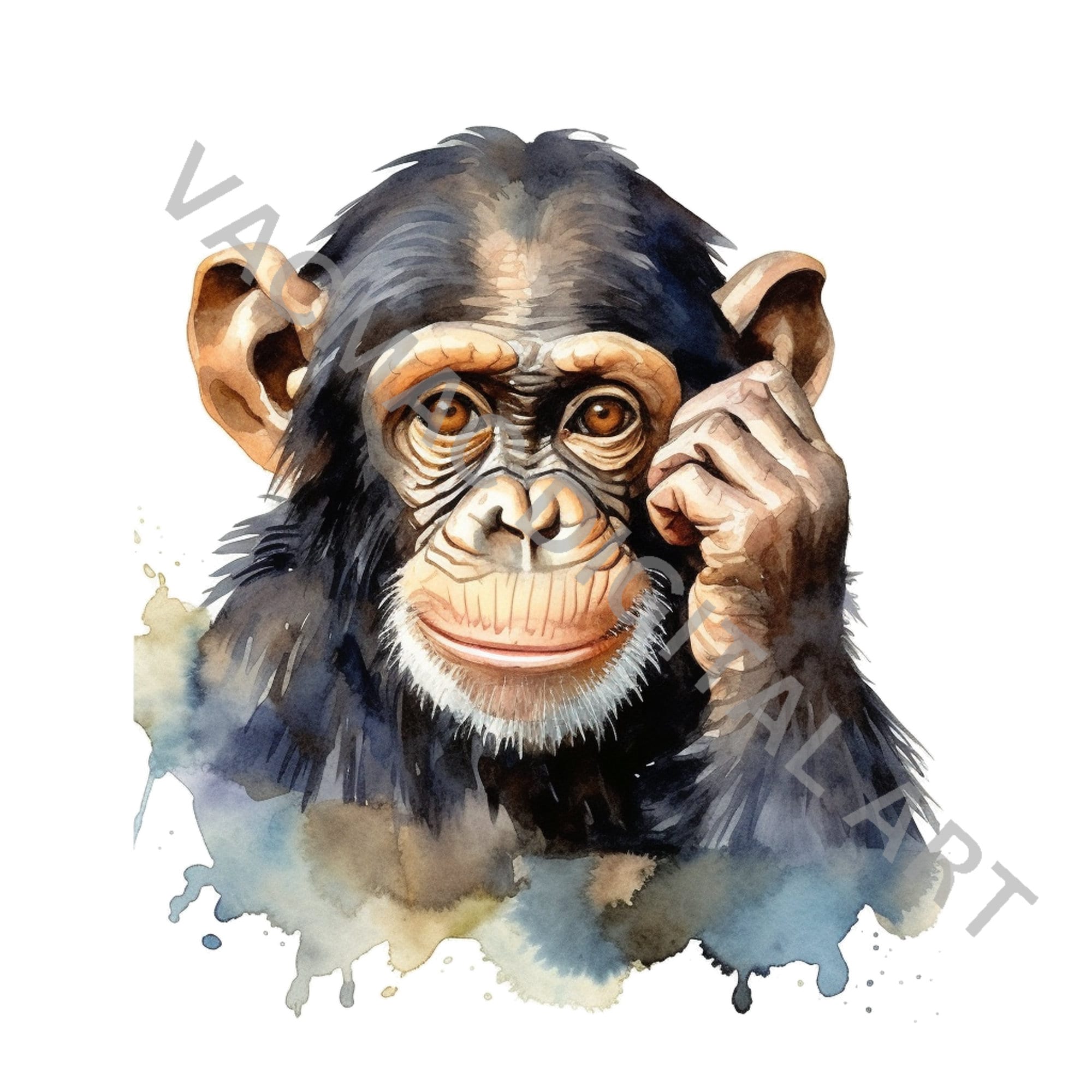 Monkey Ape Watercolor Clipart 65 PNG Images, Digital Download, 300 DPI ...