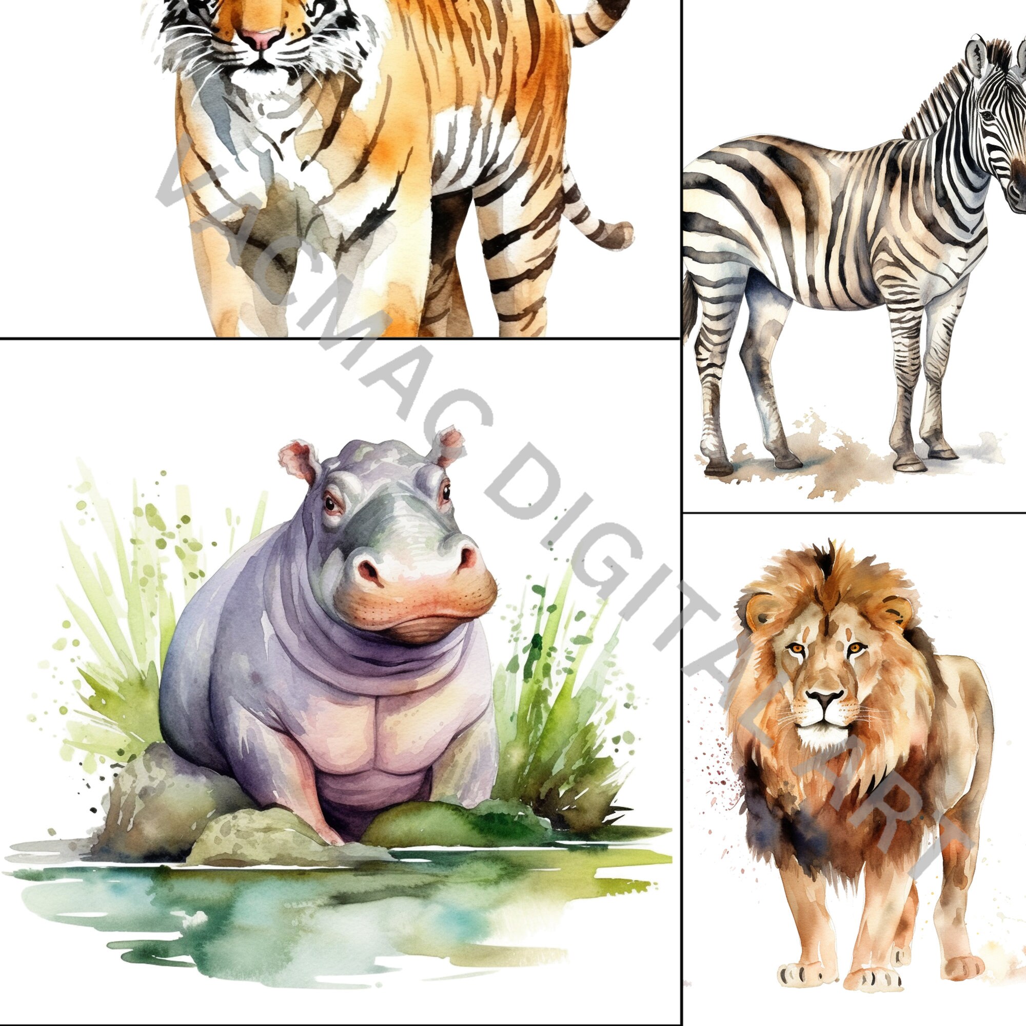 Zoo Watercolor Clipart 77 PNG Images, Digital Download, 300 DPI Ideal ...