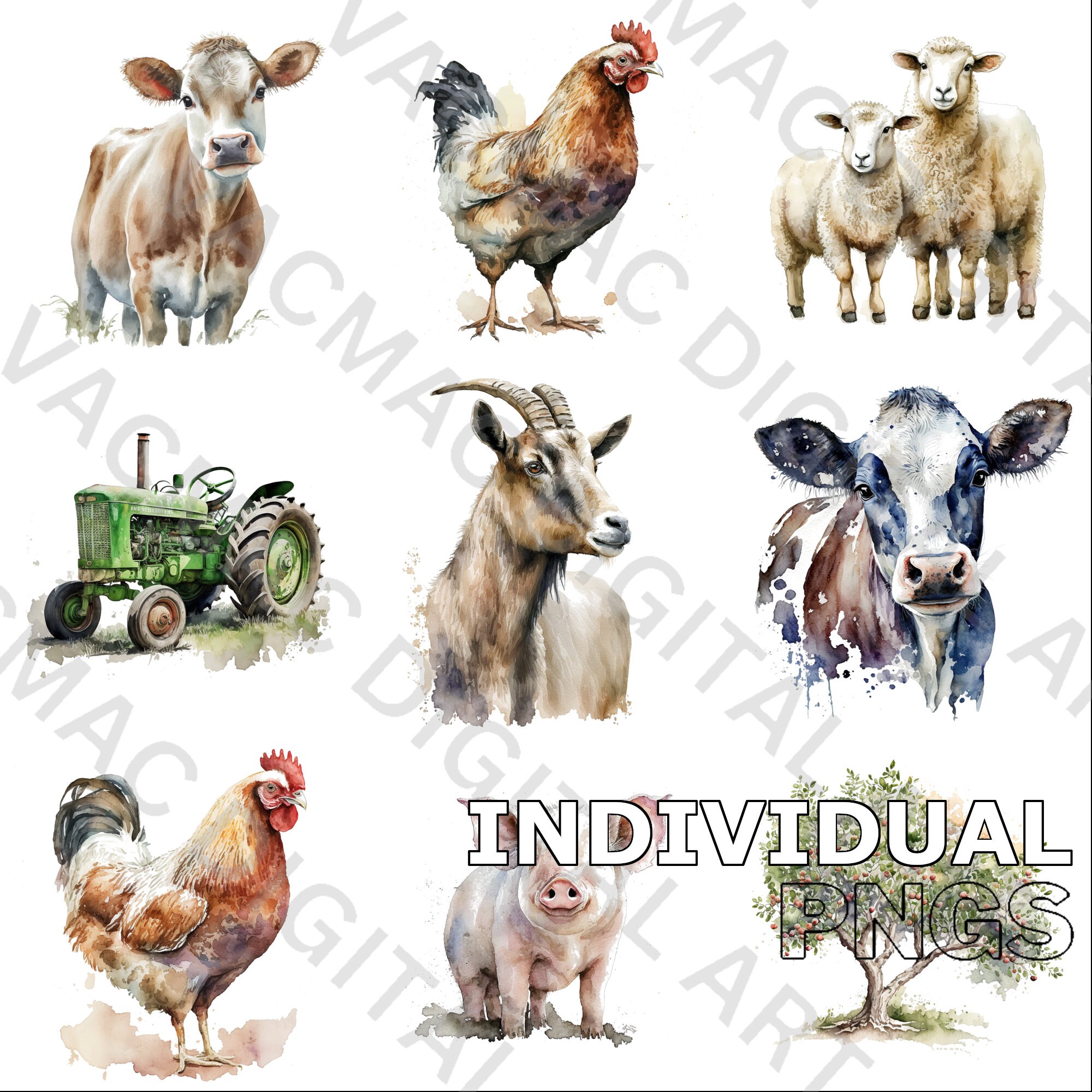 Farm Animal Watercolor Clipart 37 PNG Images, Digital Download, 300 DPI ...