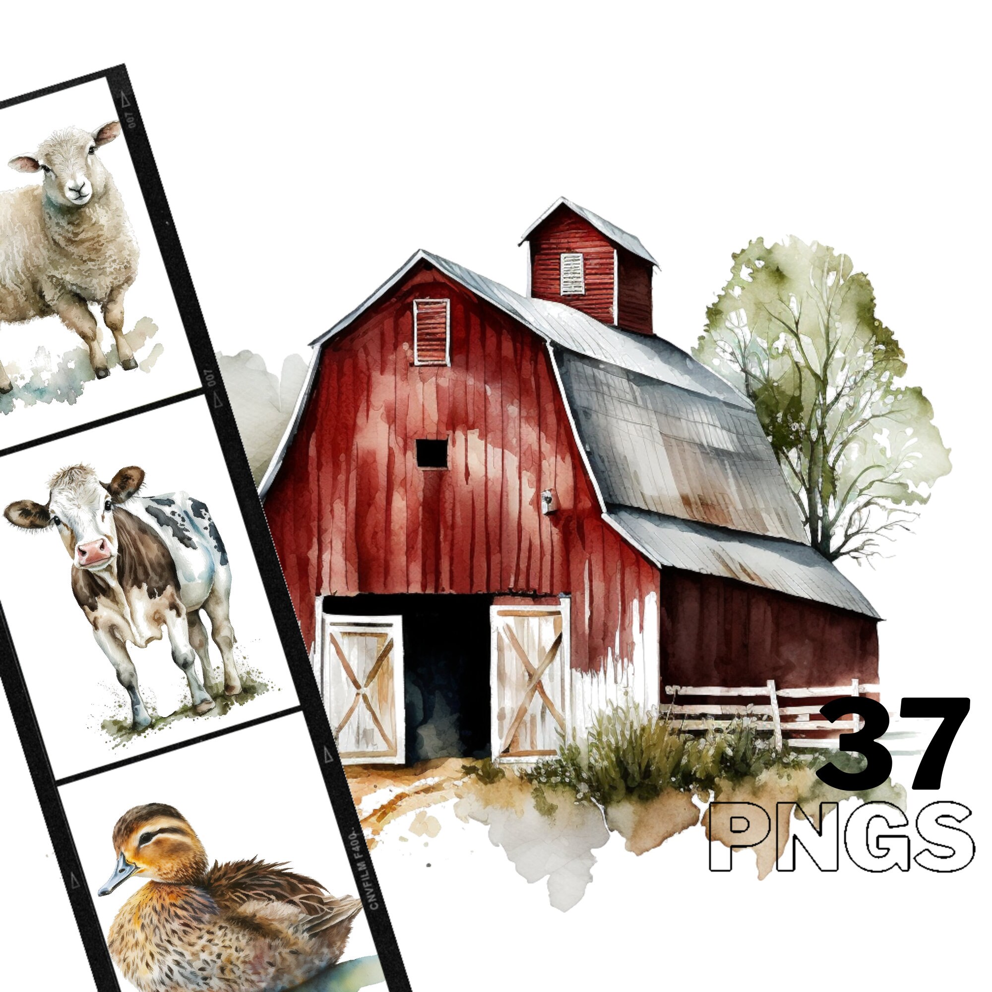 Farm Animal Watercolor Clipart 37 PNG Images, Digital Download, 300 DPI ...