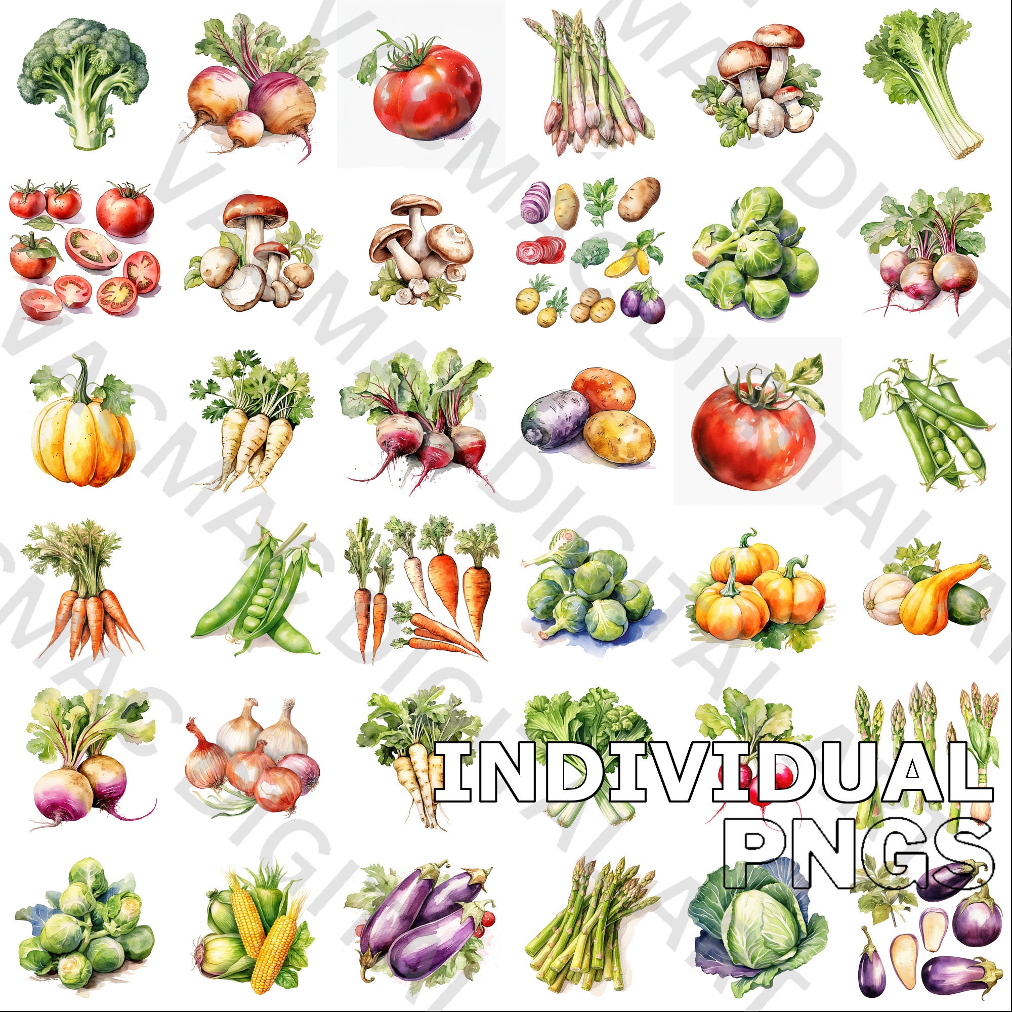 Vegetable Watercolor Clipart 73 PNG Images, Digital Download, 300 DPI ...