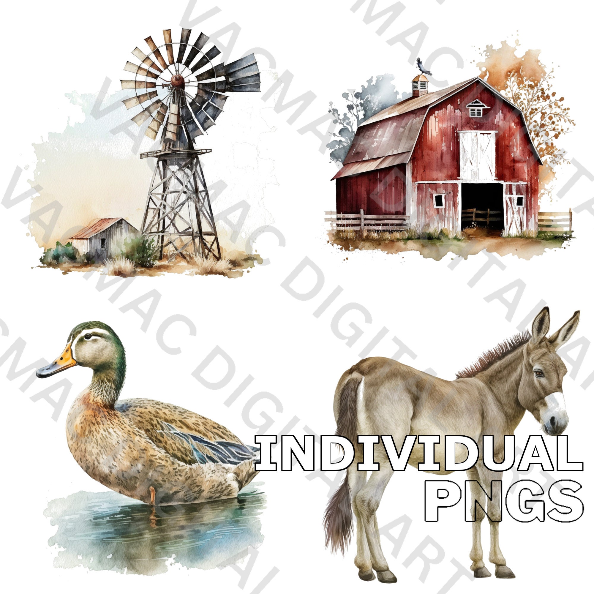 Farm Animal Watercolor Clipart 37 PNG Images, Digital Download, 300 DPI ...