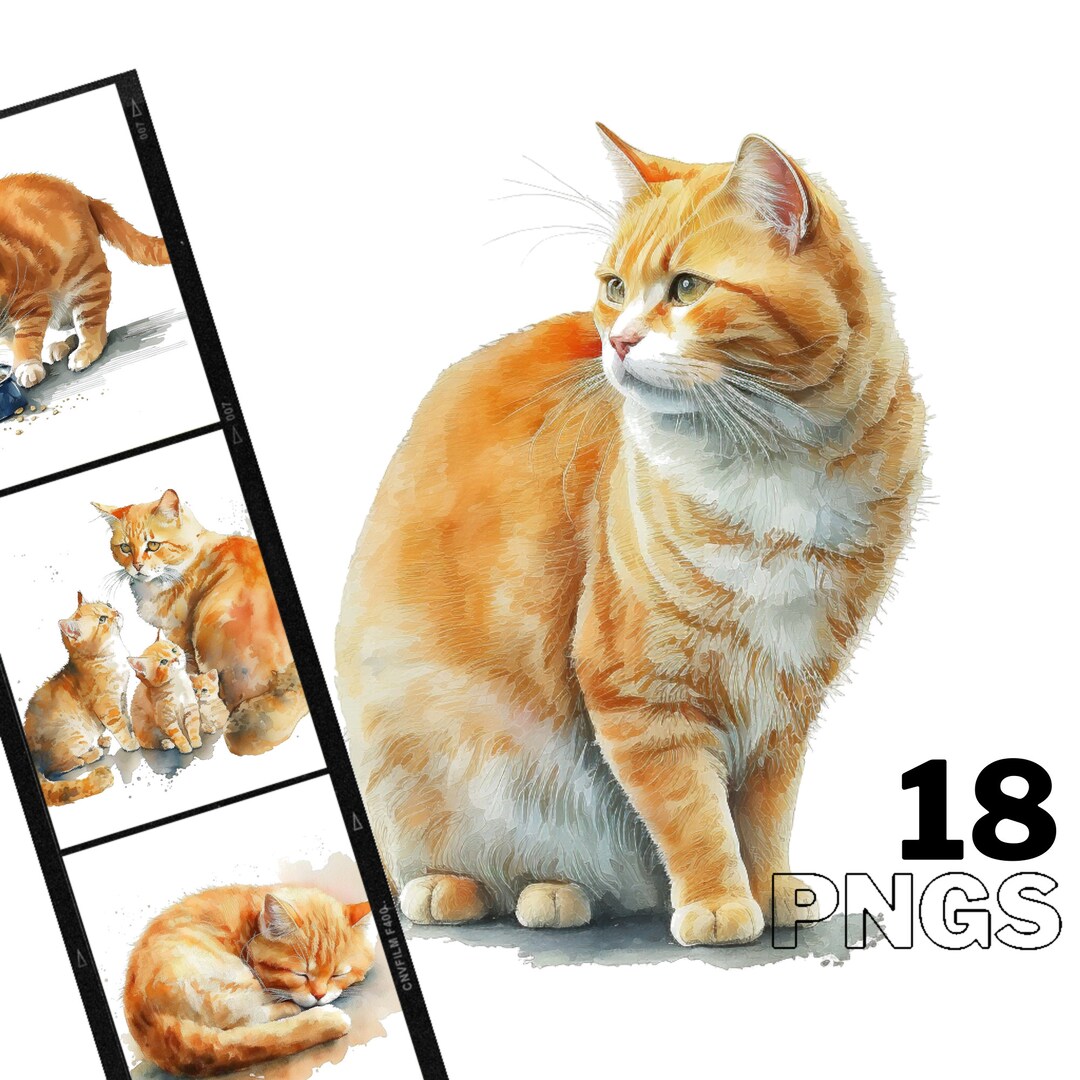 Orange Cats & Kittens Watercolor Clipart, 18 PNG Images, 300 DPI ...
