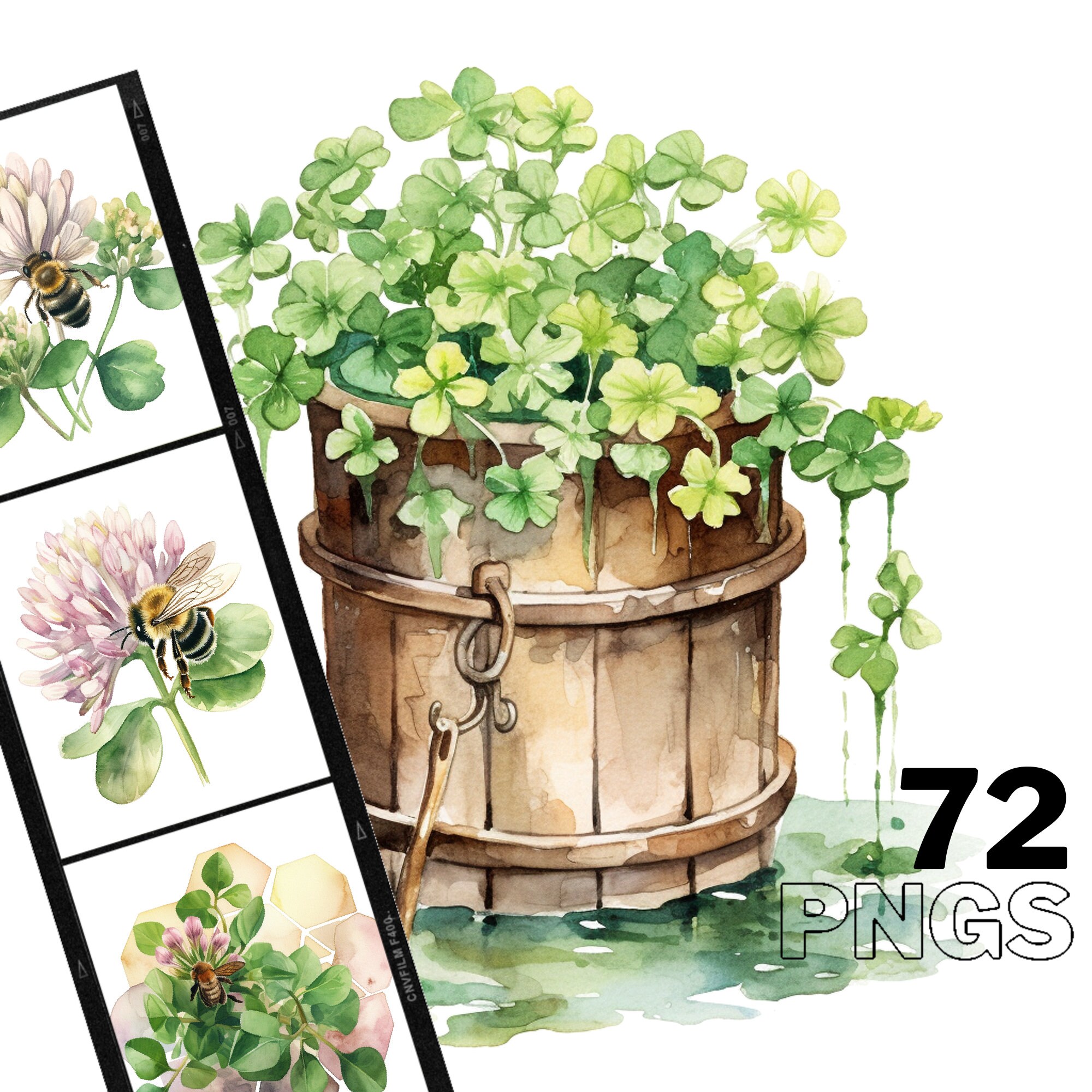Clover Watercolor Clipart 72 PNG Images, Digital Download, 300 DPI ...