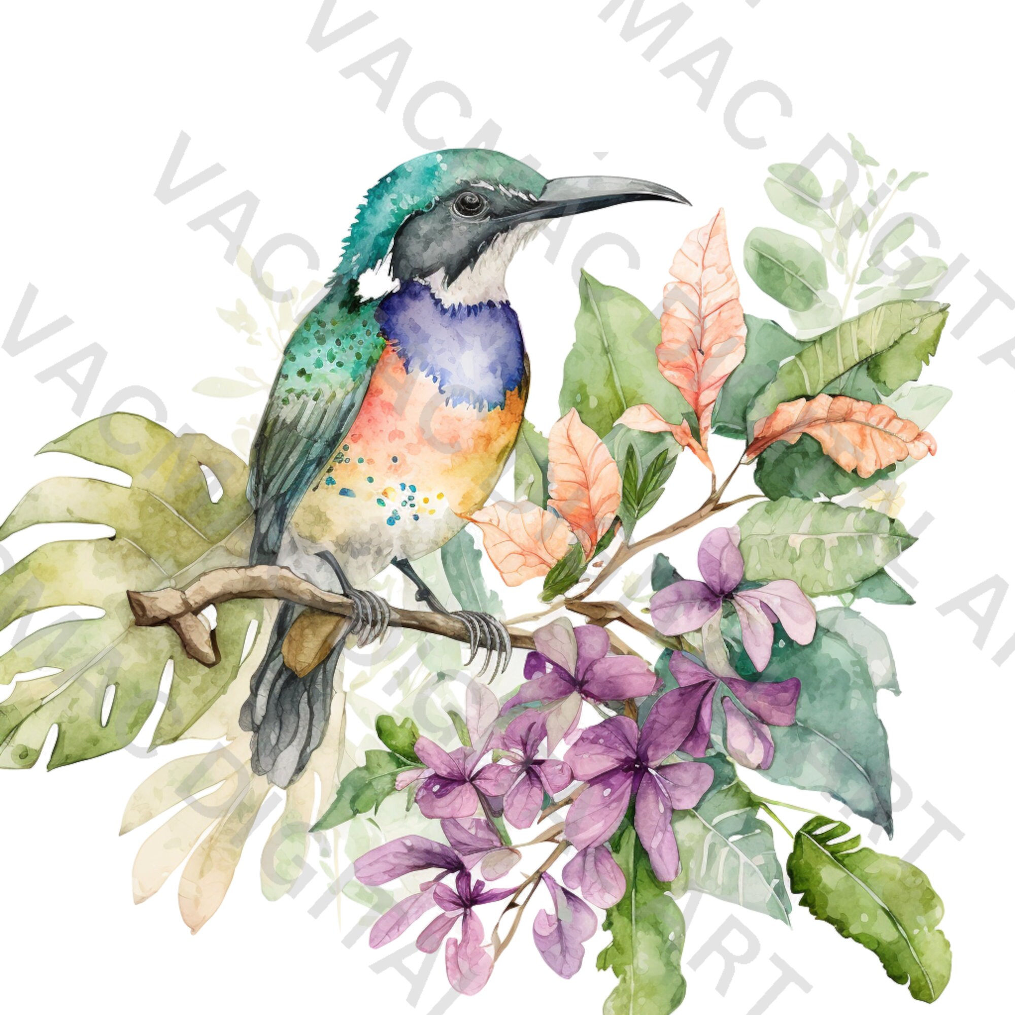 Tropical Bird Watercolor Clipart 39 PNG Images, Digital Download, 300 ...
