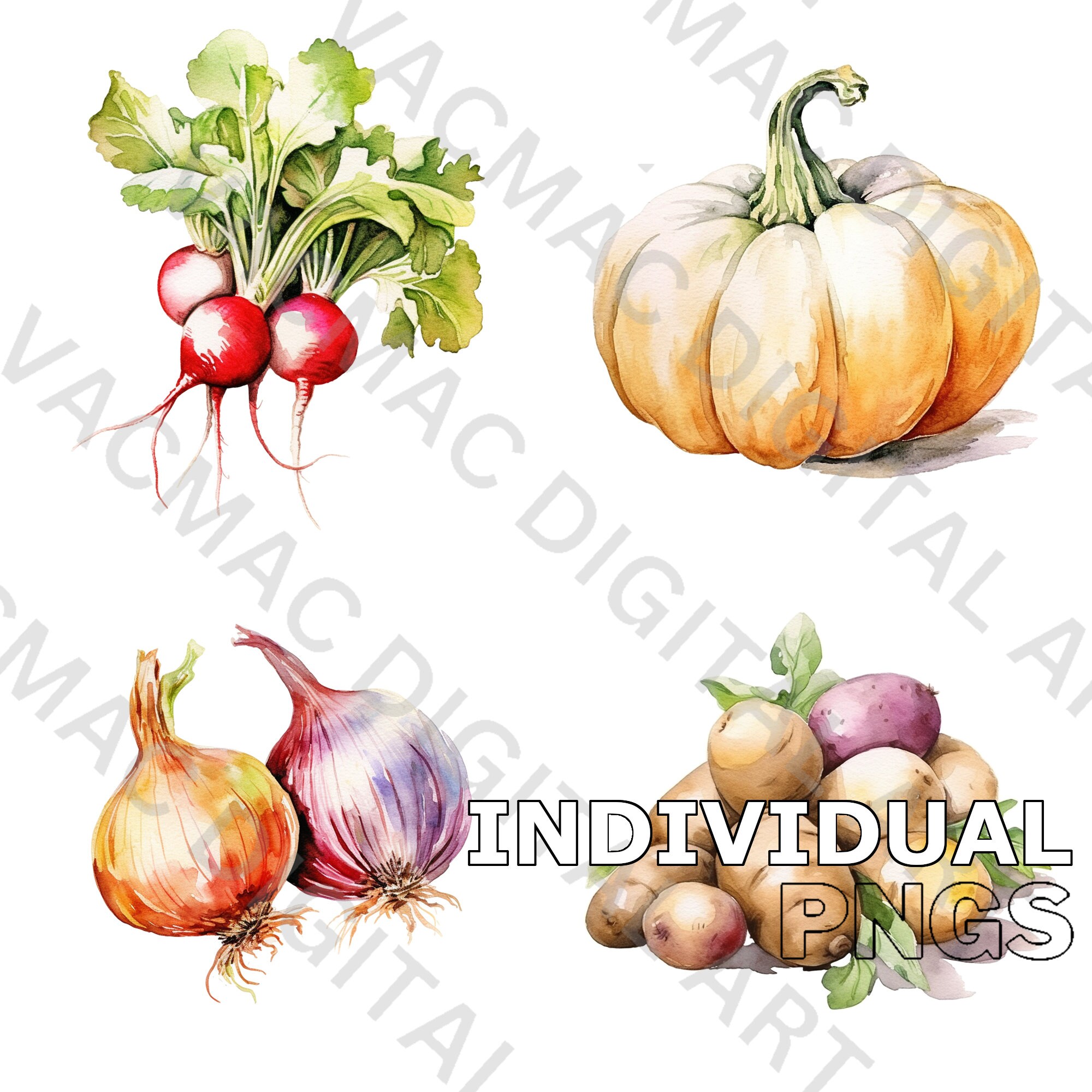 Vegetable Watercolor Clipart 73 PNG Images, Digital Download, 300 DPI ...