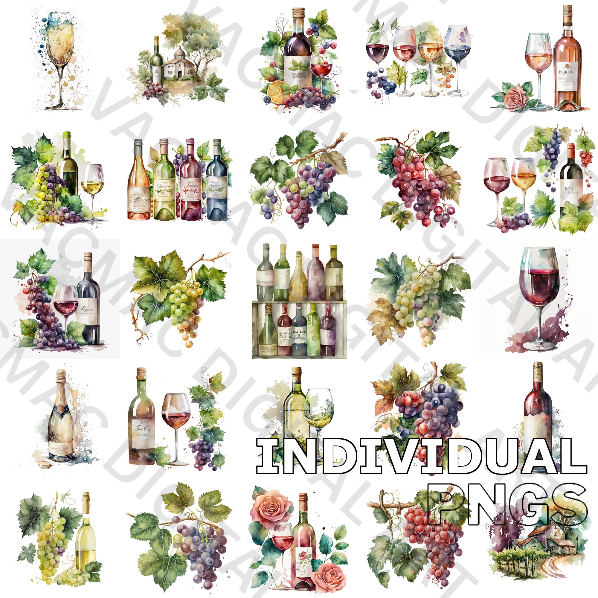 Grape & Wine Watercolor Clipart Set 60 PNG Images Digital - Etsy