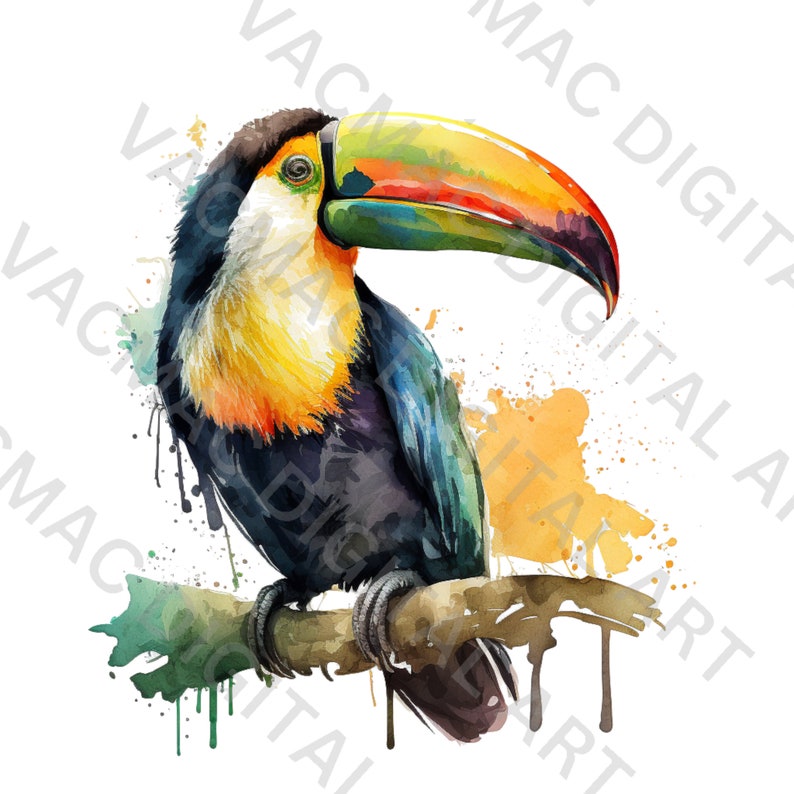 Rainforest Animals Clipart, 38 PNG Watercolor Images, 300 DPI, Digital ...