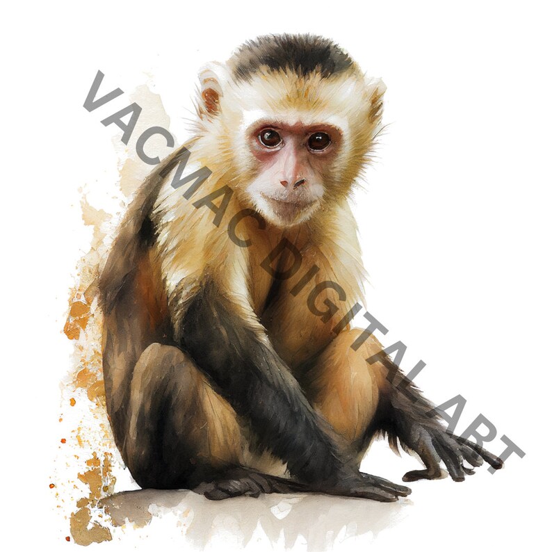 Rainforest Animals Clipart 38 PNG Watercolor Images 300 DPI - Etsy