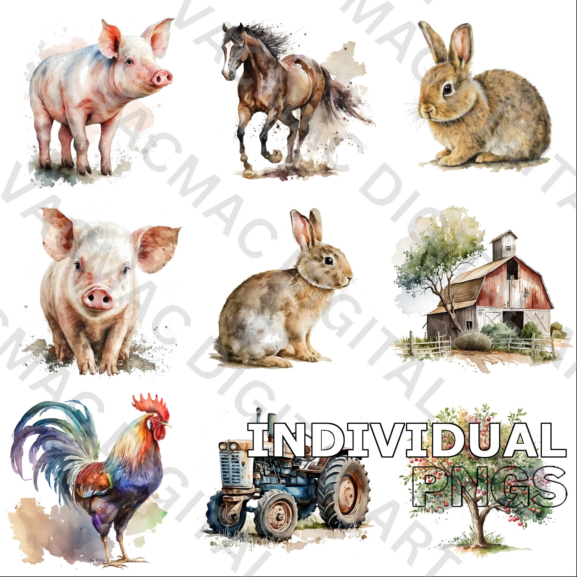 Farm Animal Watercolor Clipart 37 PNG Images, Digital Download, 300 DPI ...