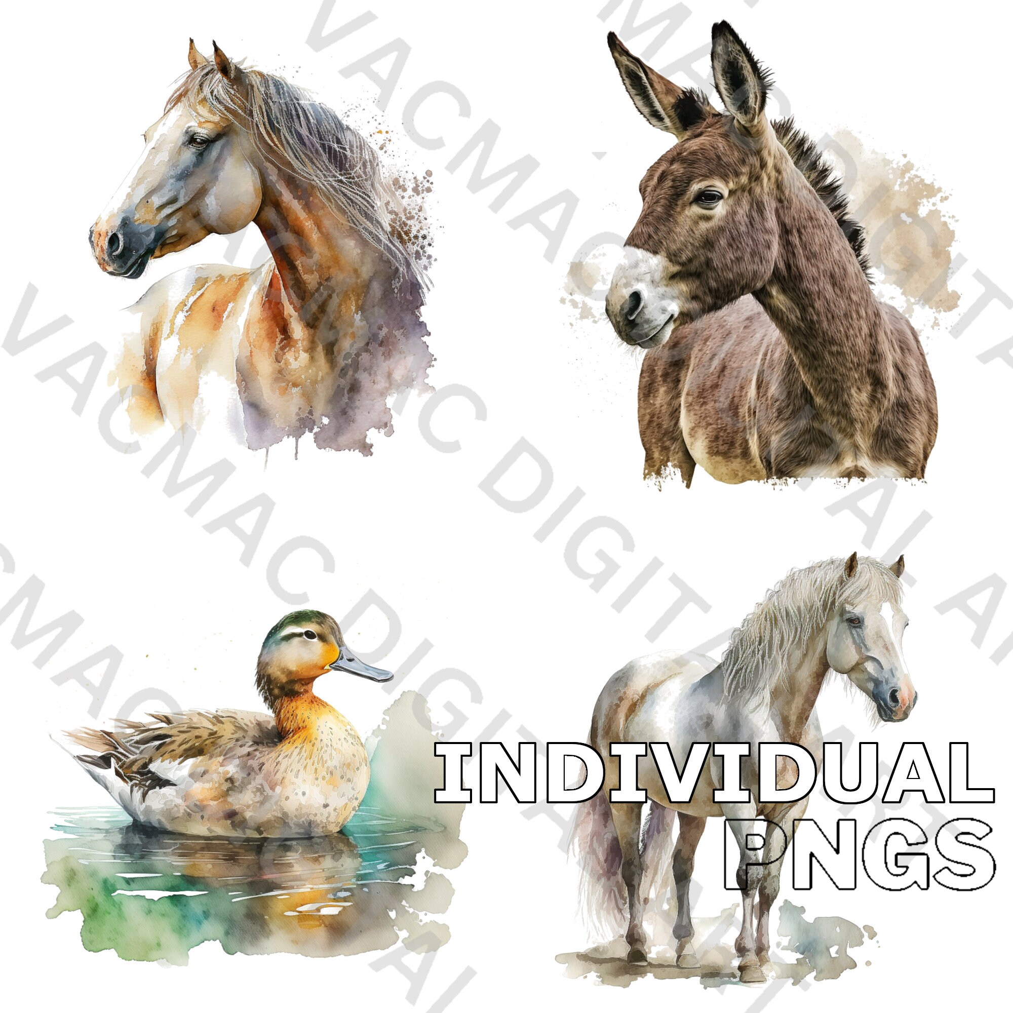 Farm Animal Watercolor Clipart 37 PNG Images, Digital Download, 300 DPI ...
