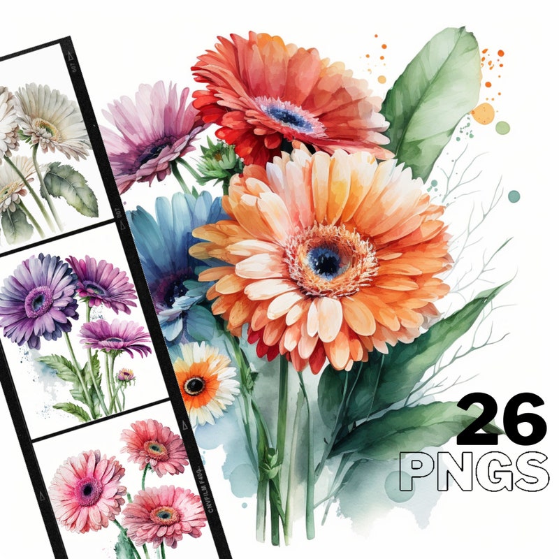 Gerber Daisy - Etsy