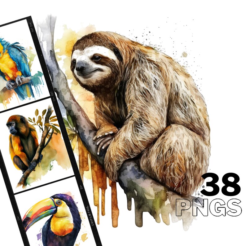 Rainforest Animals Clipart, 38 PNG Watercolor Images, 300 DPI, Digital ...