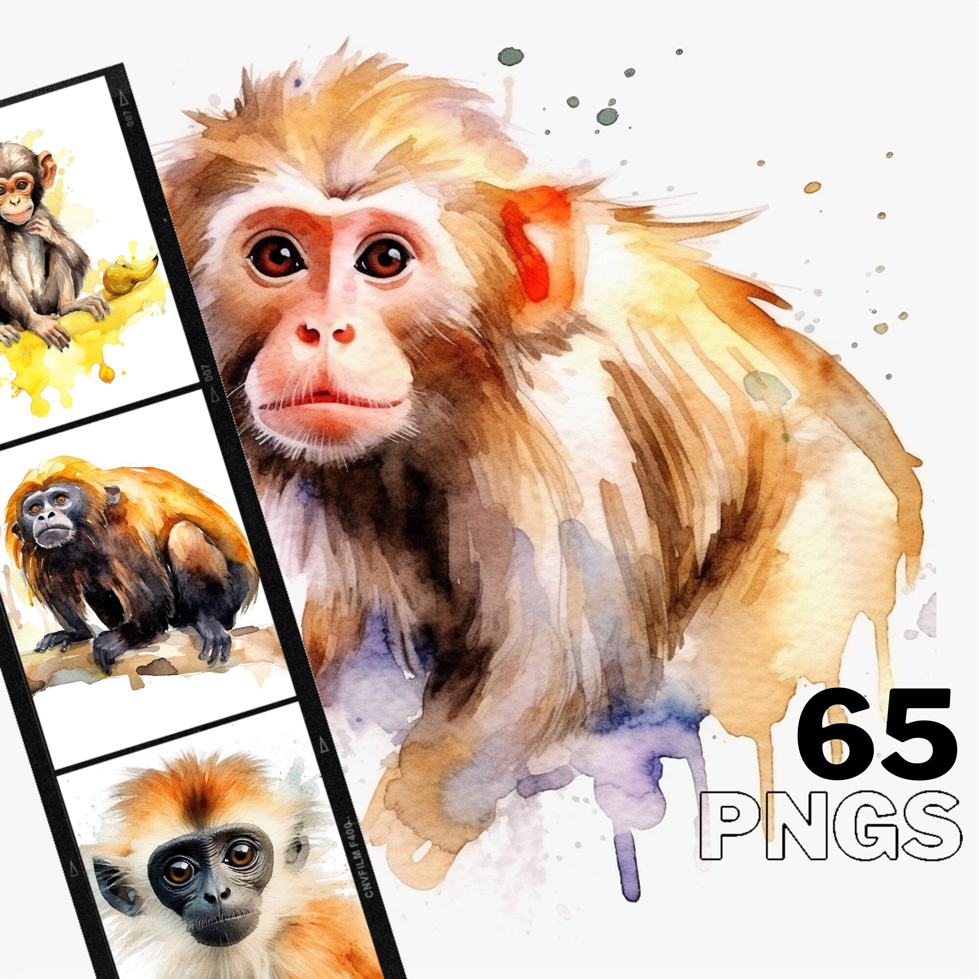 Monkey Ape Watercolor Clipart 65 PNG Images Digital - Etsy
