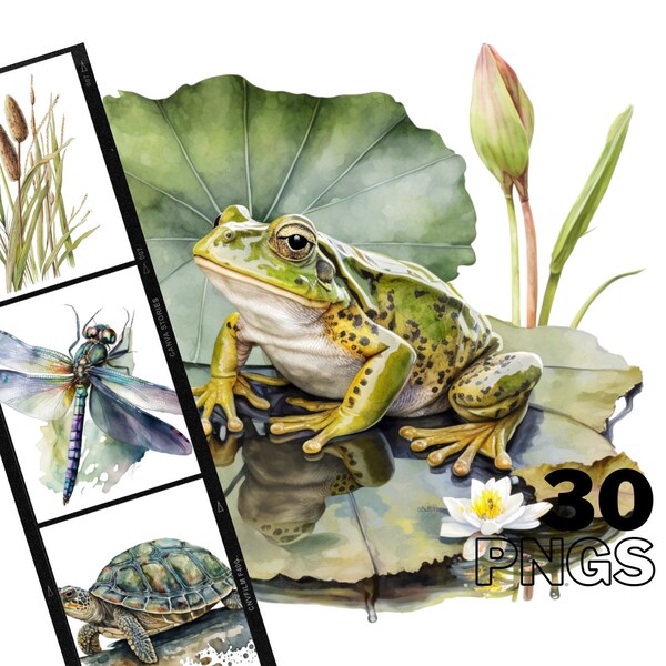 Pond Life Art - Etsy