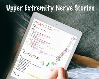 Upper Extremity: Brachial Plexus Study Guide, Guide Sheet, Cheat Sheet ...