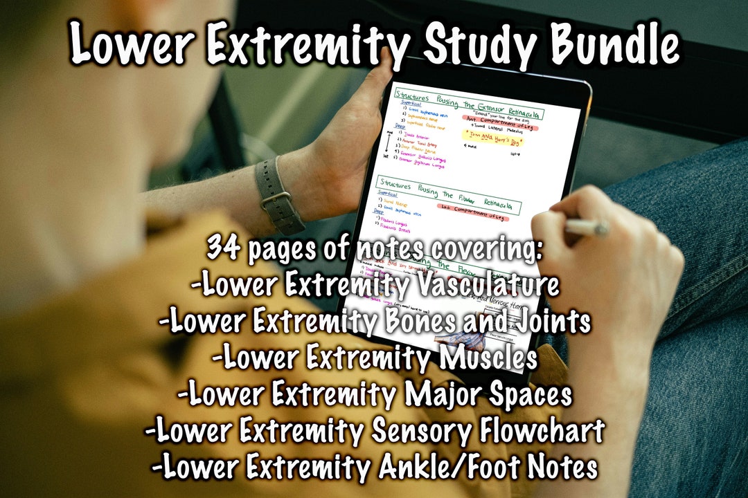 Lower Extremity: Study Bundle Pack, Study Guide, Guide Sheet, Cheat ...