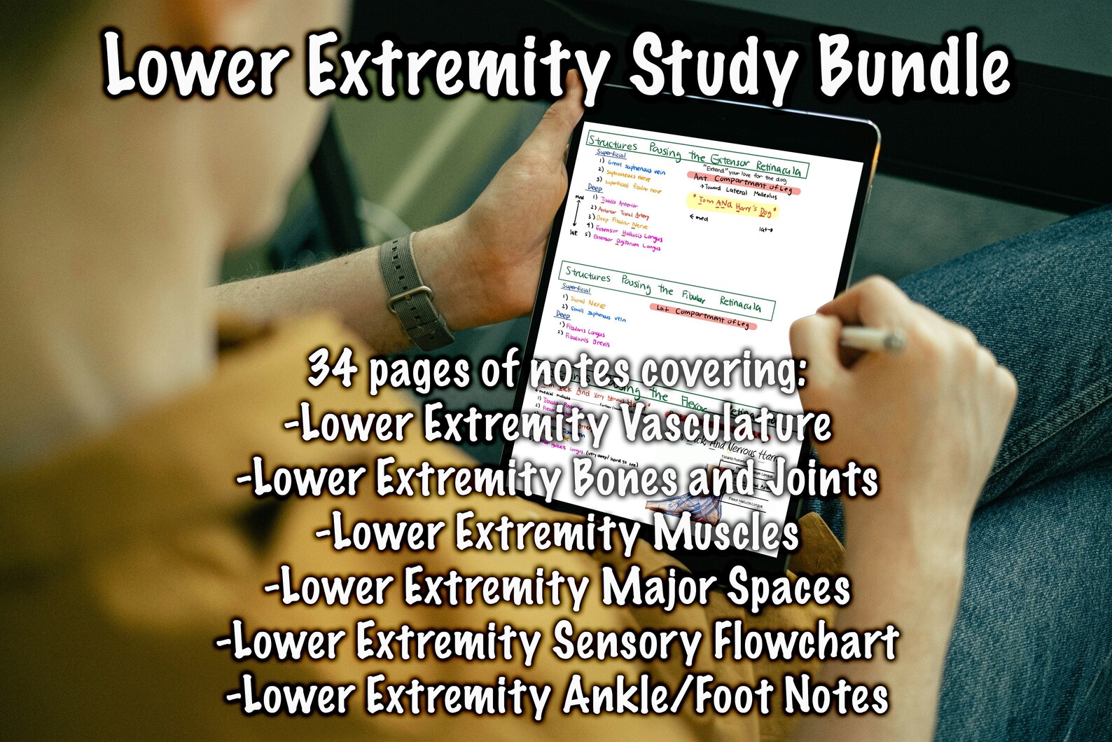 Lower Extremity: Study Bundle Pack, Study Guide, Guide Sheet, Cheat Sheet, Reference Guide ...