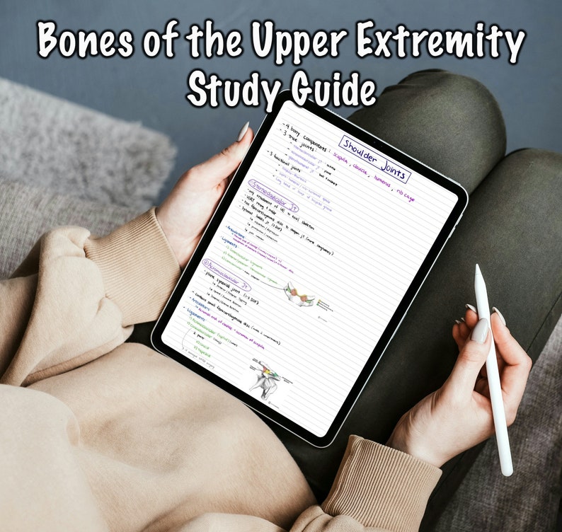 Upper Extremity Bones & Joints Study Guide (digital Download) - Etsy