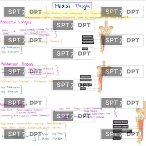 Lower Extremity: Study Bundle Pack, Study Guide, Guide Sheet, Cheat Sheet, Reference Guide ...