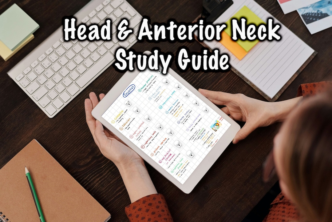 Head and Anterior Neck Study Bundle, Study Guide, Guide Sheet, Cheat Sheet, Reference Guide ...