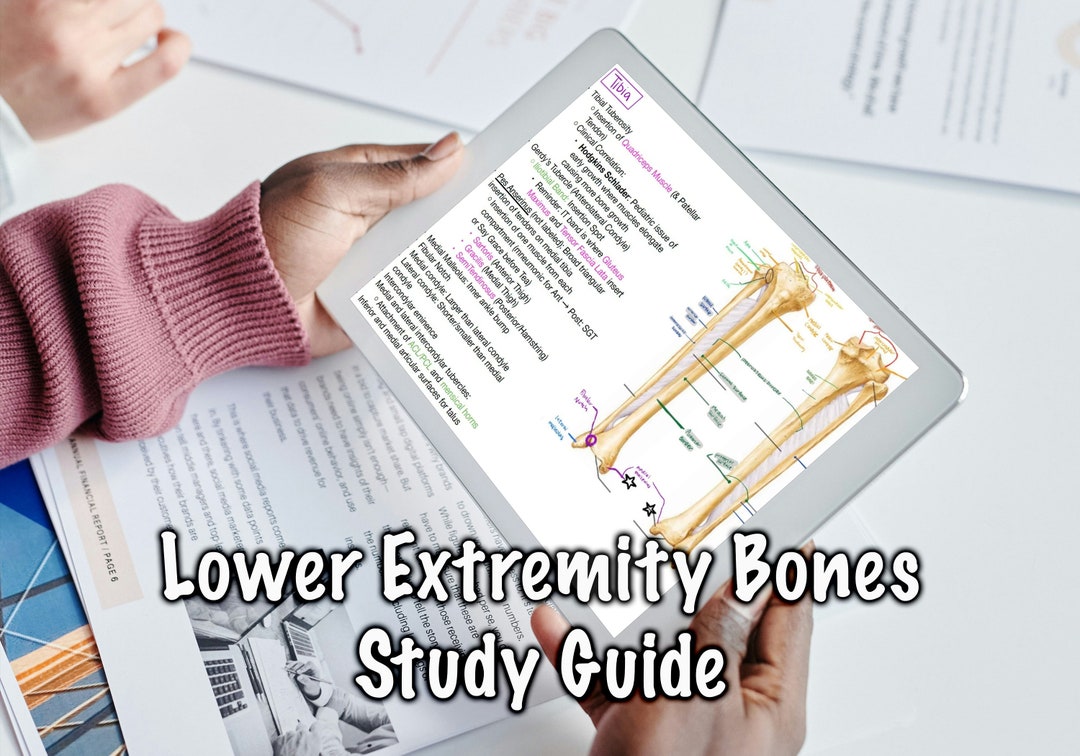 Bones and Joints of the Spine and Hip (lower Extremity) Study Guide ...