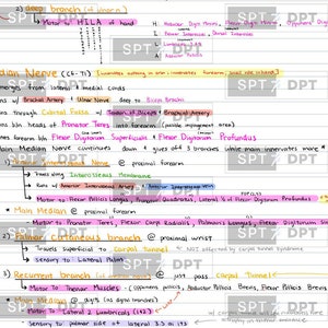 Upper Extremity: Brachial Plexus Study Guide, Guide Sheet, Cheat Sheet ...