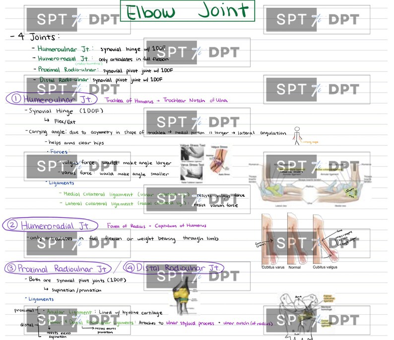 Upper Extremity Bones and Joints, Study Guide, Guide Sheet, Cheat Sheet ...