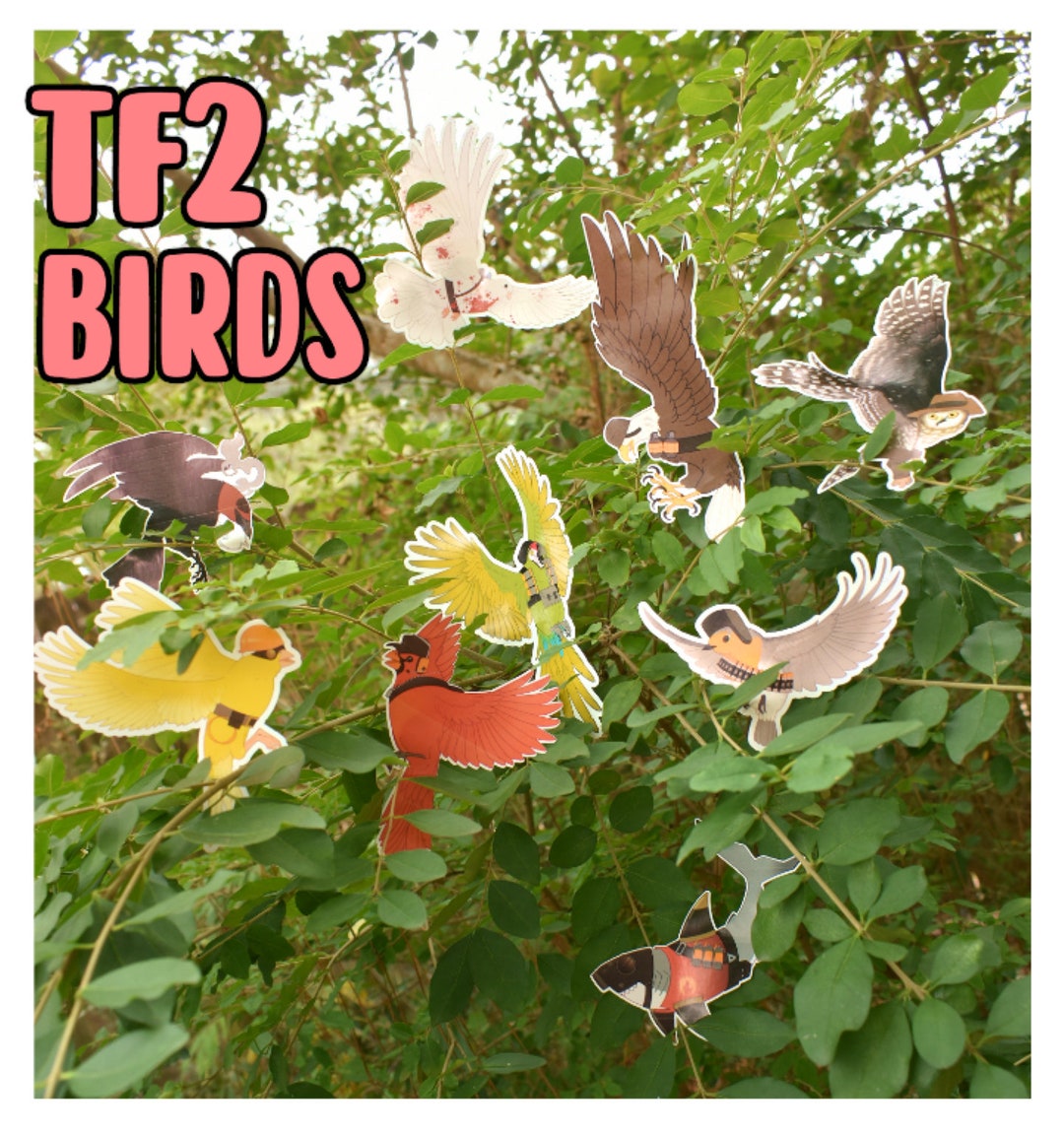 TF2 Birds - Etsy