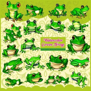 Watercolour Green Frogs Clipart - Cute Frog Floral Clip Art in PNG ...
