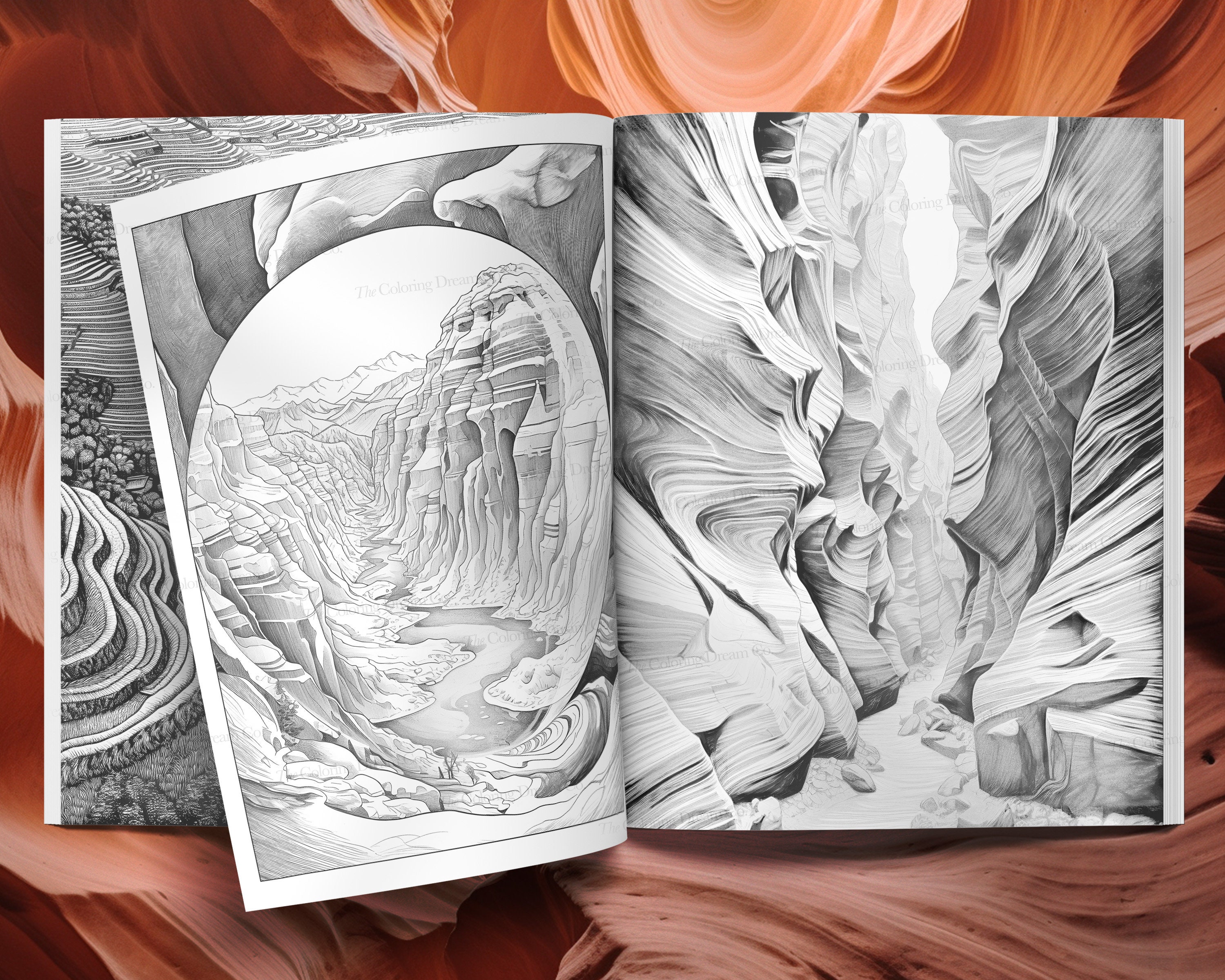 Nature Landscapes Coloring Book Beautiful Flowers Coloring - Etsy