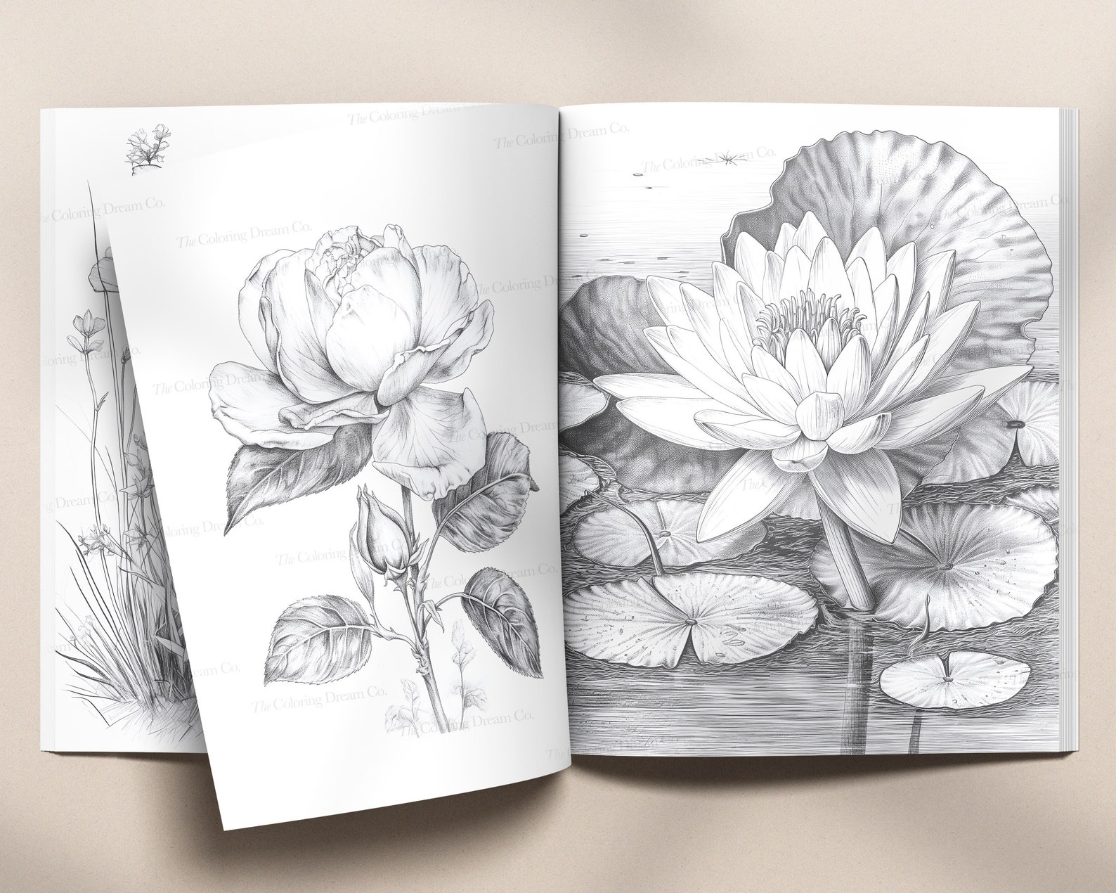 Botanical Flowers Coloring Book, Beautiful Flowers Coloring Page ...