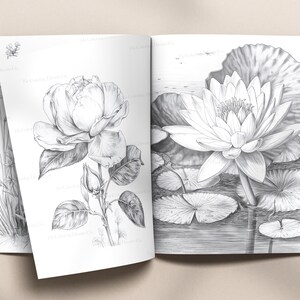 Botanical Flowers Coloring Book, Beautiful Flowers Coloring Page ...
