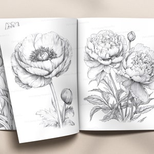 Botanical Flowers Coloring Book, Beautiful Flowers Coloring Page ...