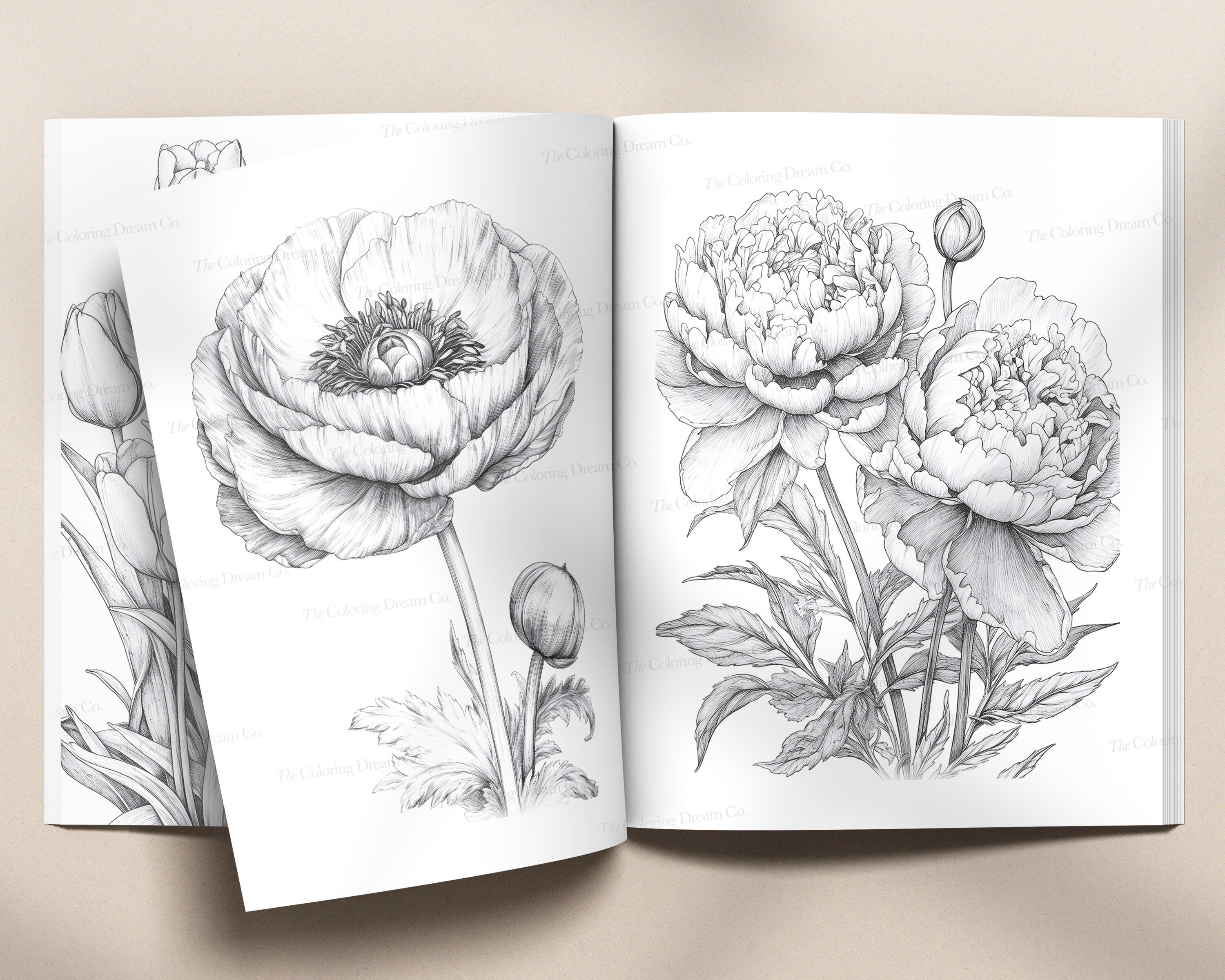 Botanical Flowers Coloring Book, Beautiful Flowers Coloring Page ...