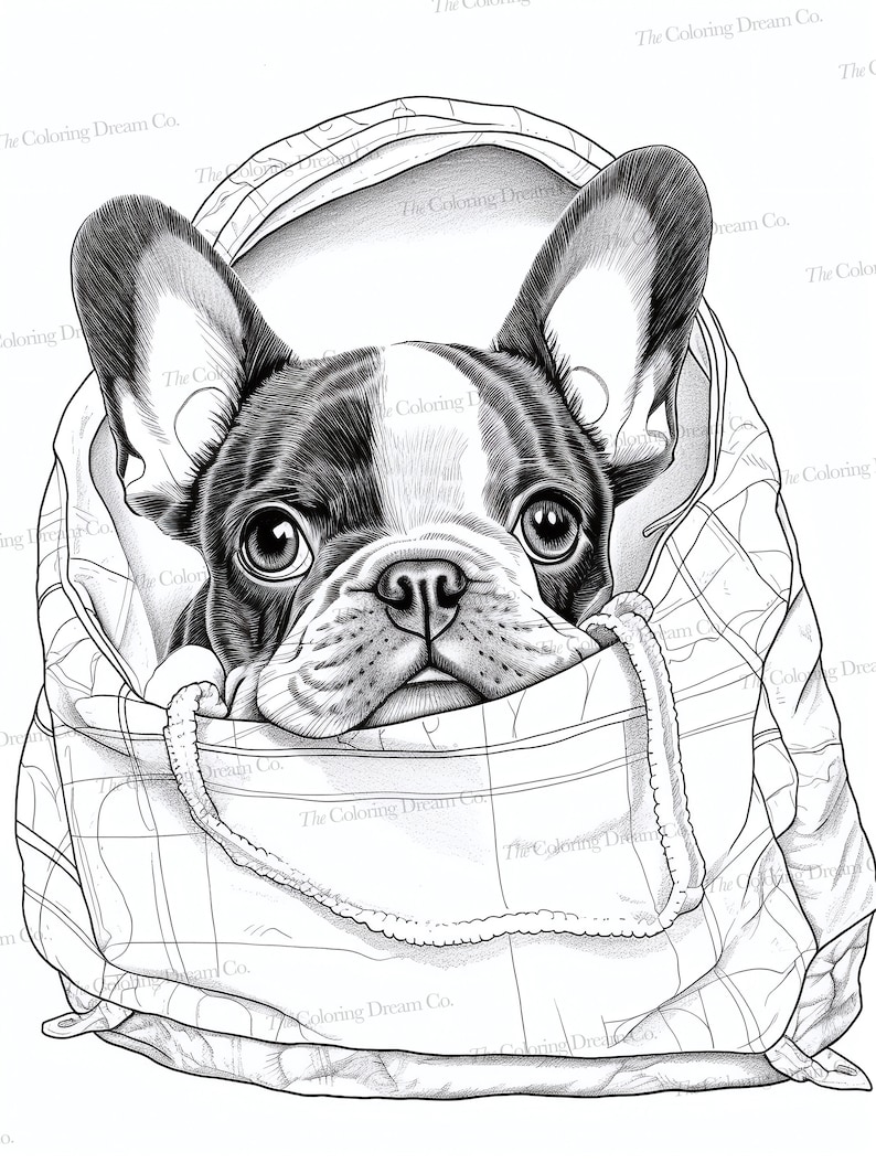 French Bulldog Coloring Book Frenchies Printable Coloring - Etsy