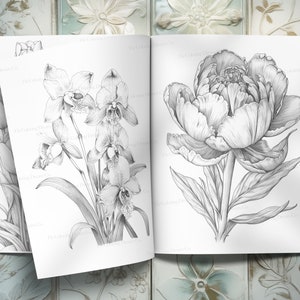 Botanical Flowers Coloring Book, Beautiful Flowers Coloring Page ...