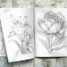 Botanical Flowers Coloring Book, Beautiful Flowers Coloring Page ...