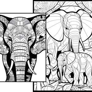 Jungle Animals Coloring Book, Animals Coloring Page, Printable Coloring ...