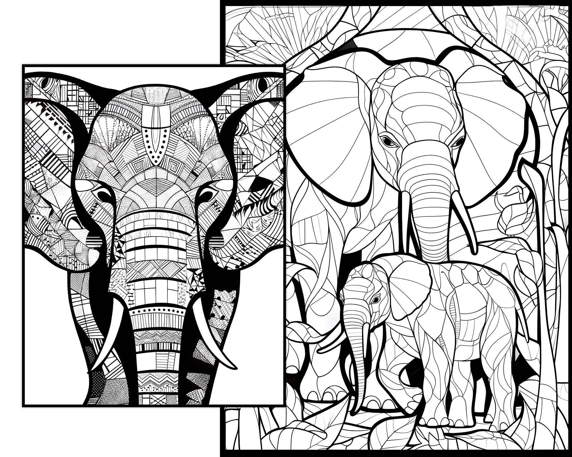 Jungle Animals Coloring Book Animals Coloring Page Printable - Etsy