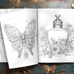 Whimsical Coloring Book of Trinkets & Treasures, Flowers Vintage ...