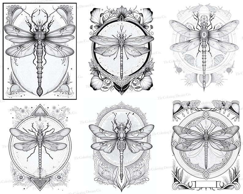 Dragonfly Mandala Coloring Book Dragonfly Coloring Page - Etsy