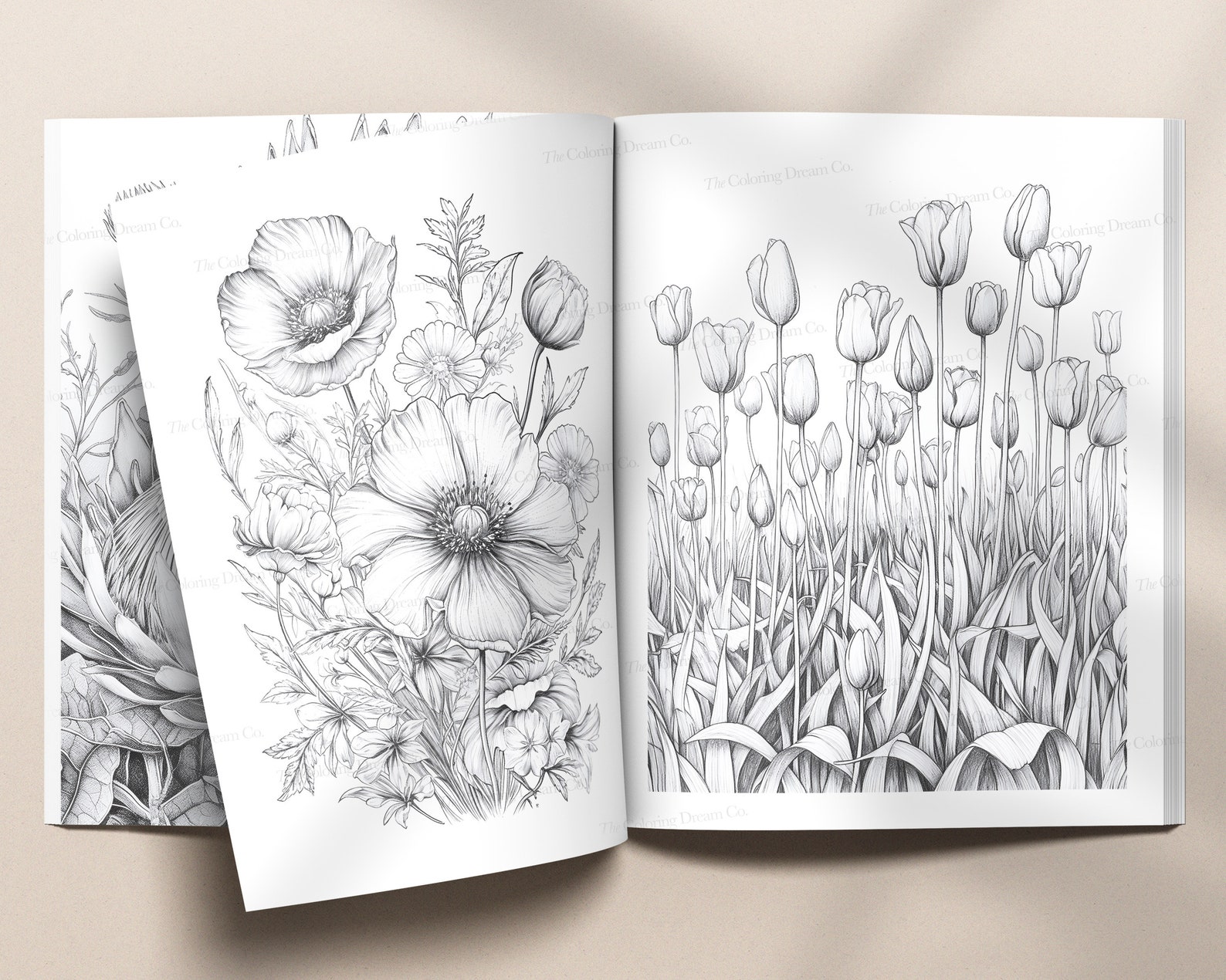 Botanical Flowers Coloring Book, Beautiful Flowers Coloring Page ...