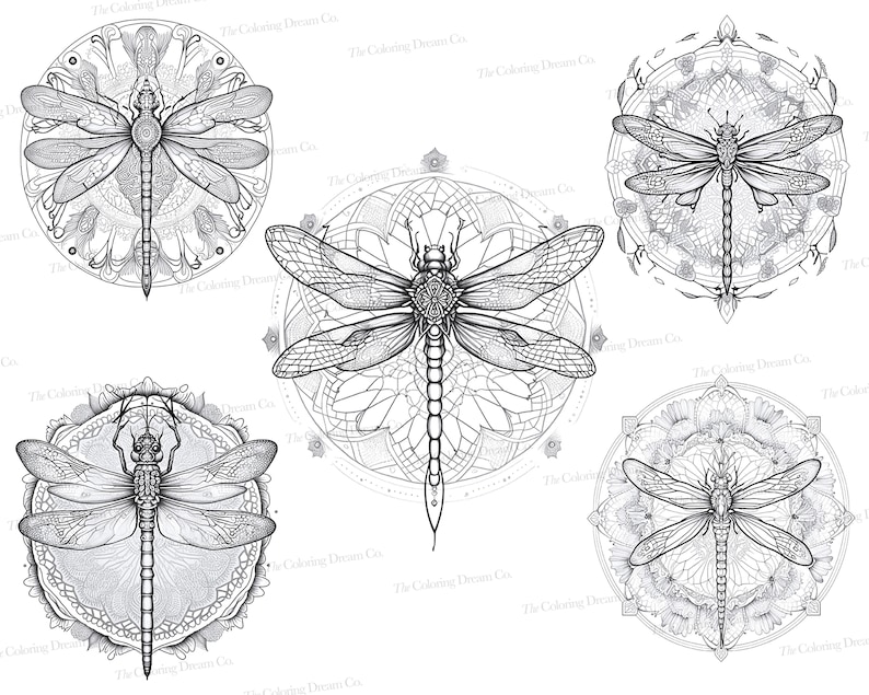 Dragonfly Mandala Coloring Book Dragonfly Coloring Page - Etsy