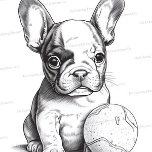 French Bulldog Coloring Book, Frenchies, Printable Coloring Pages ...