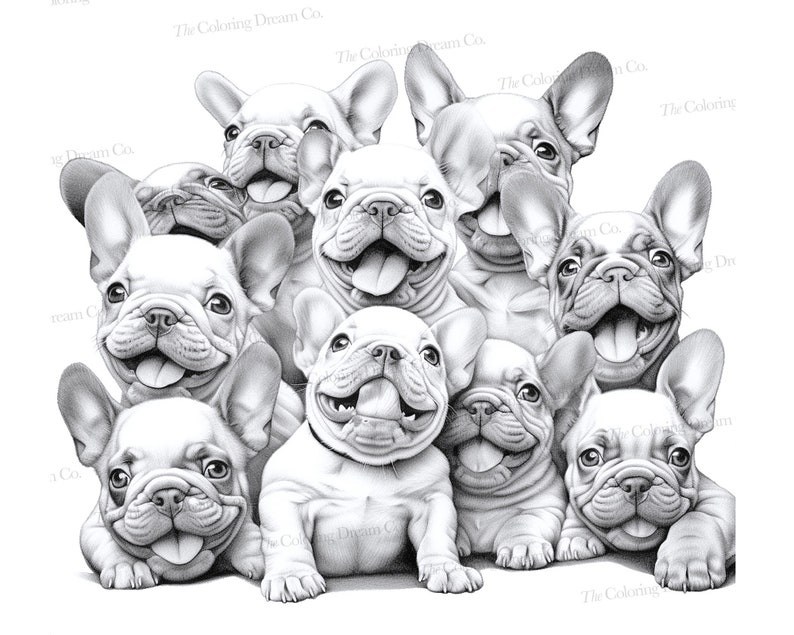 French Bulldog Coloring Book Frenchies Printable Coloring - Etsy