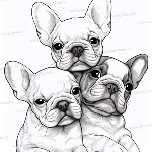 French Bulldog Coloring Book, Frenchies, Printable Coloring Pages ...