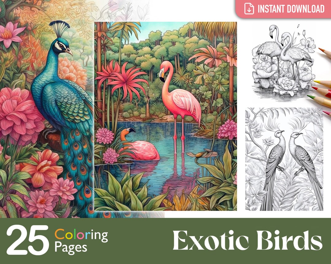 Exotic Birds Coloring Book Tropical Birds Printable Coloring - Etsy
