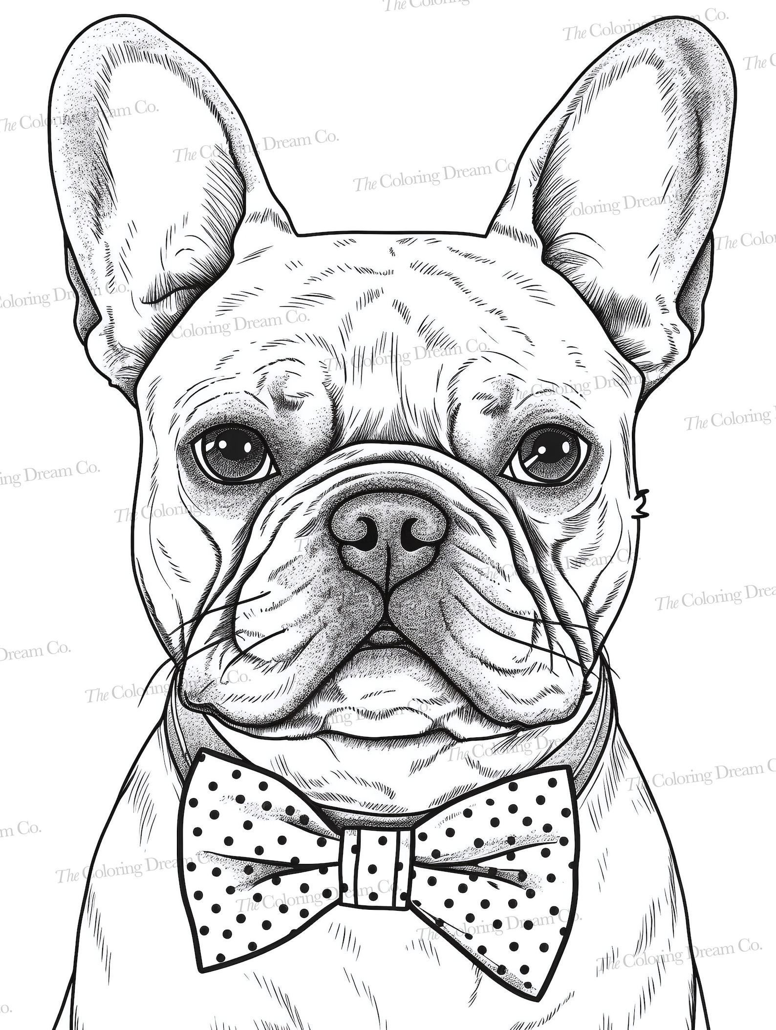 French Bulldog Coloring Book, Frenchies, Printable Coloring Pages ...